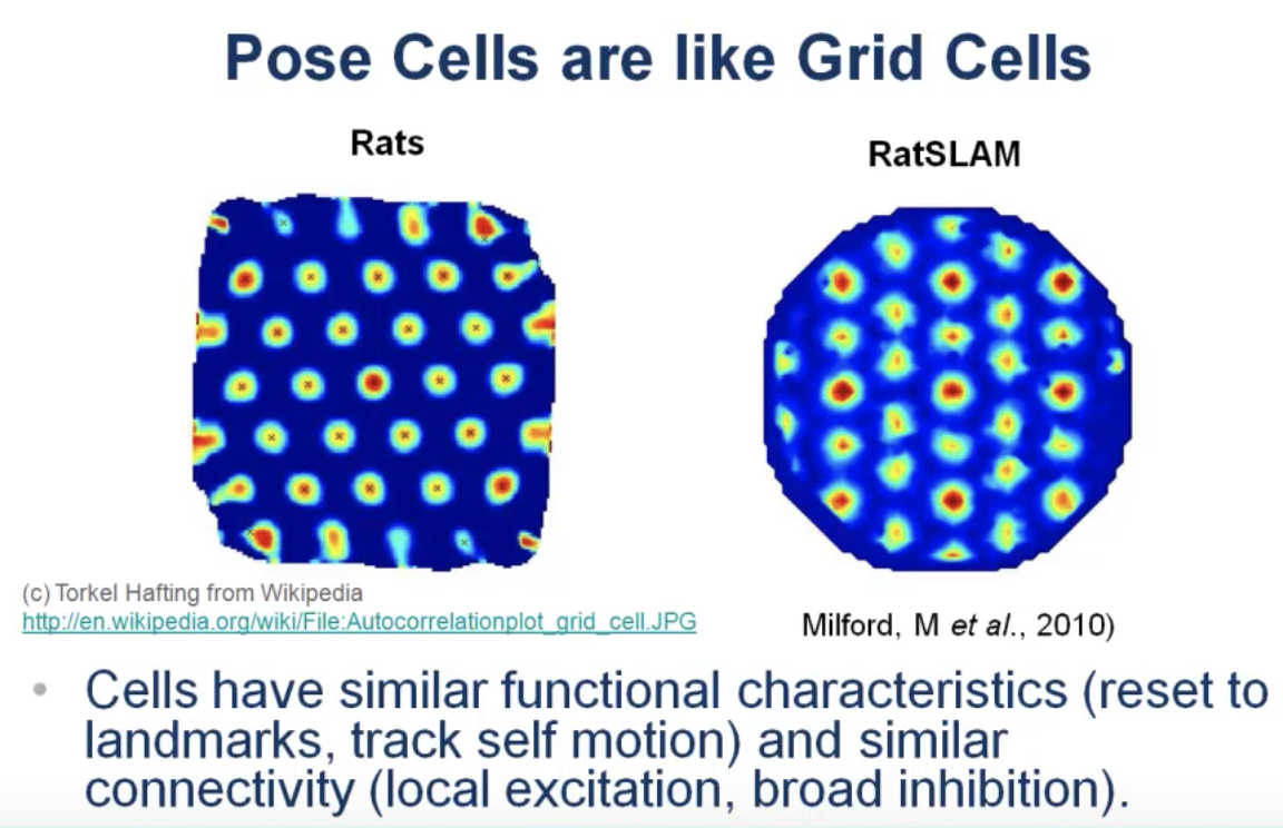 Rat-SLAM阅读笔记 - DrifterFun
